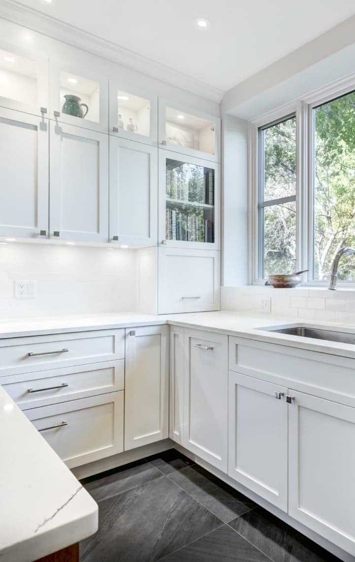 Pest Control Services | Pest Scene Investigations | Victoria BC